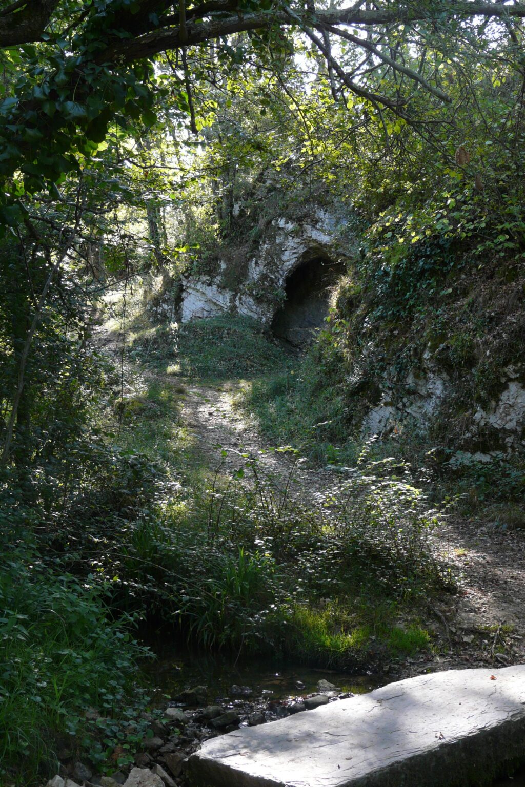 L’abri préhistorique et le musée – AURIGNAC